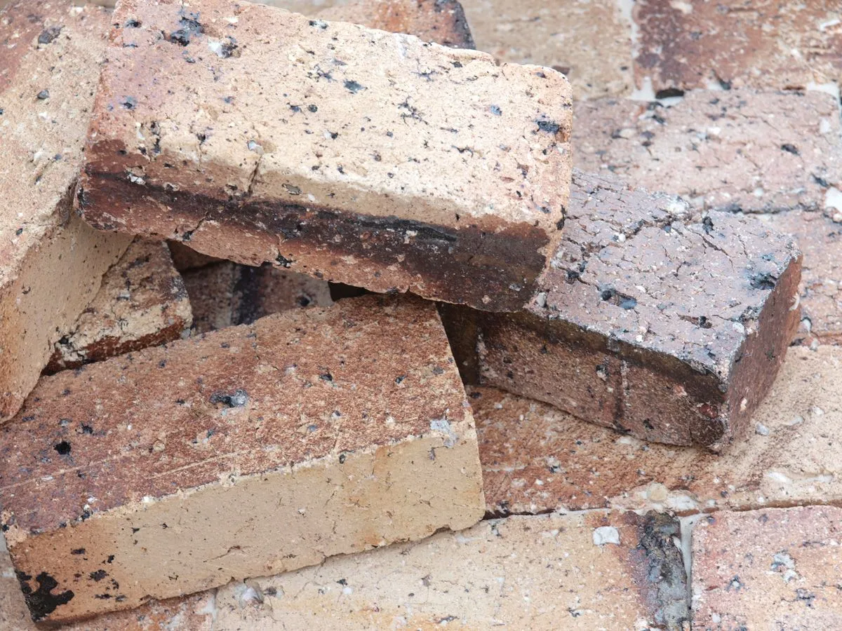 Terrible: le pegó un ladrillazo en la cabeza a una mujer porque su ...