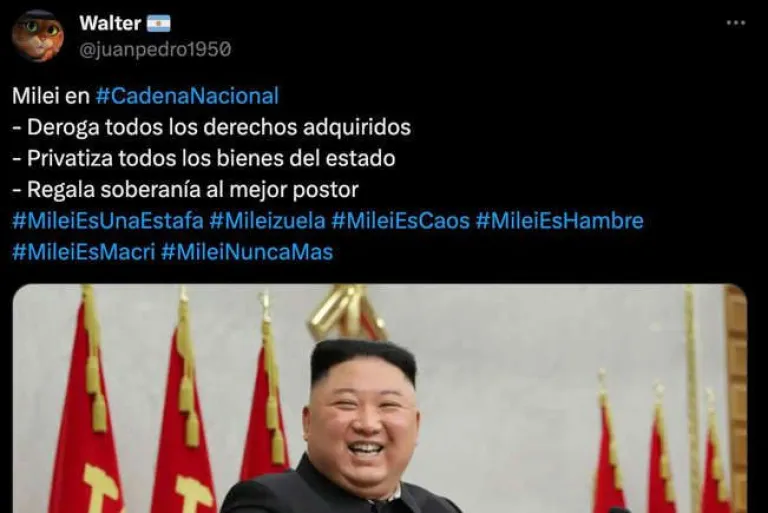 Estallaron los memes tras la cadena nacional de Milei | Diario El ...