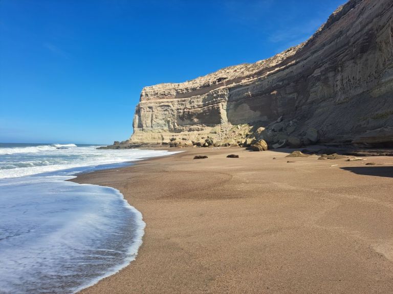 Punta Bermeja: un lugar único para disfrutar de los lobos marinos y el ...