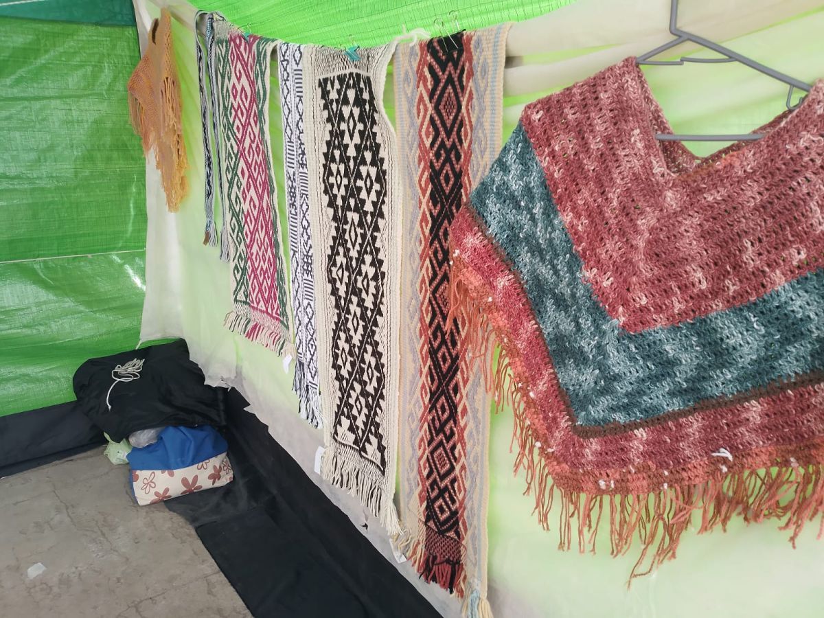 “Telares Mapuches”, un emprendimiento que rescata los saberes ...