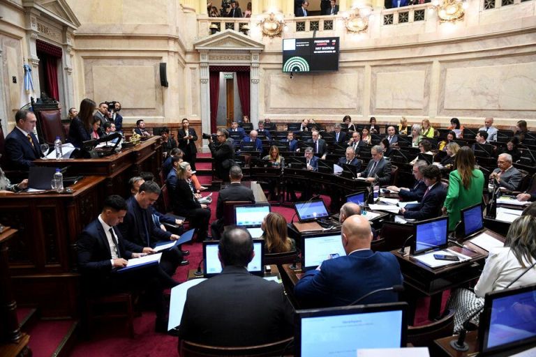 El Oficialismo Consiguió Dictamen Para La Ley Bases Noticiasnet 9898