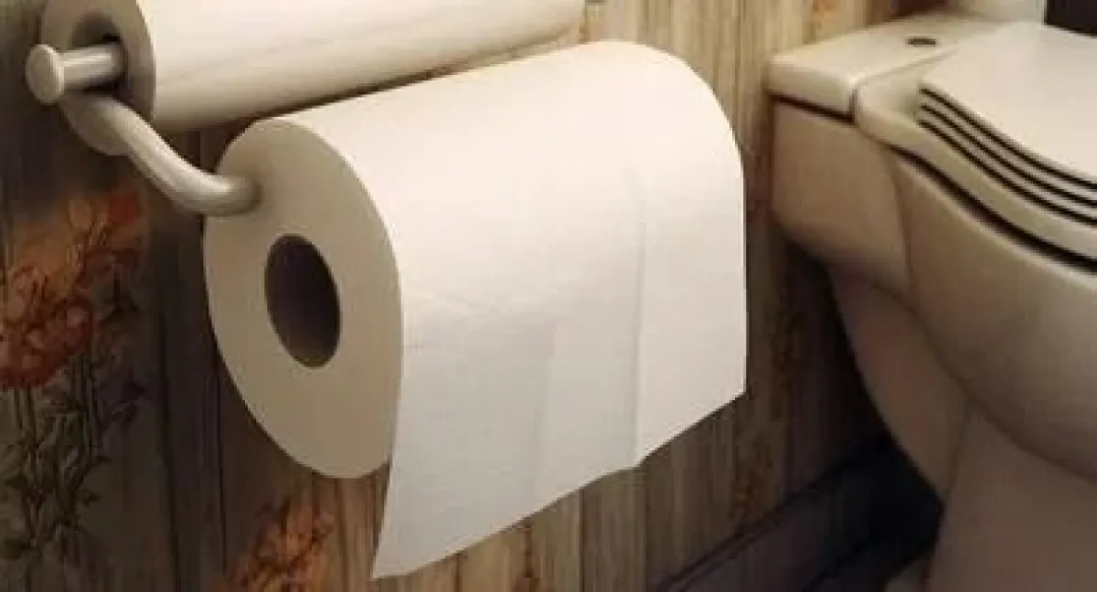 Insólito boom del Cyber Monday: lo más vendido terminó junto al inodoro ...